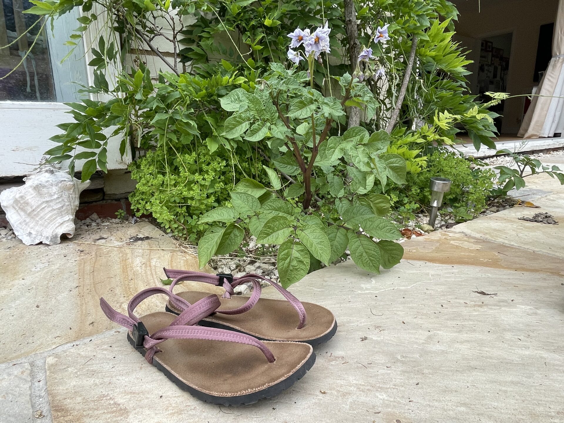 Unboxing Earthrunners: Sustainable & Ethically-Produced Sandals